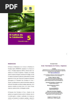 Manual para El Establecimiento de Una Huerta de Aguacate | PDF | Aguacate | Fertilizante