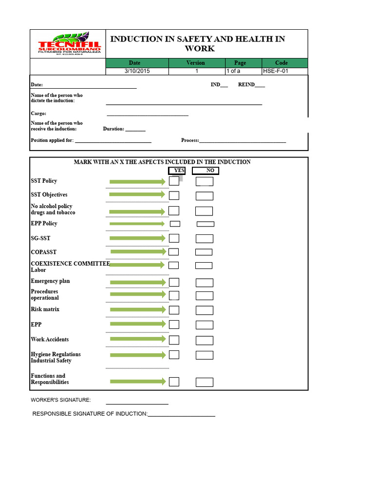 HSE (P) INDUCTION FORMAT | PDF