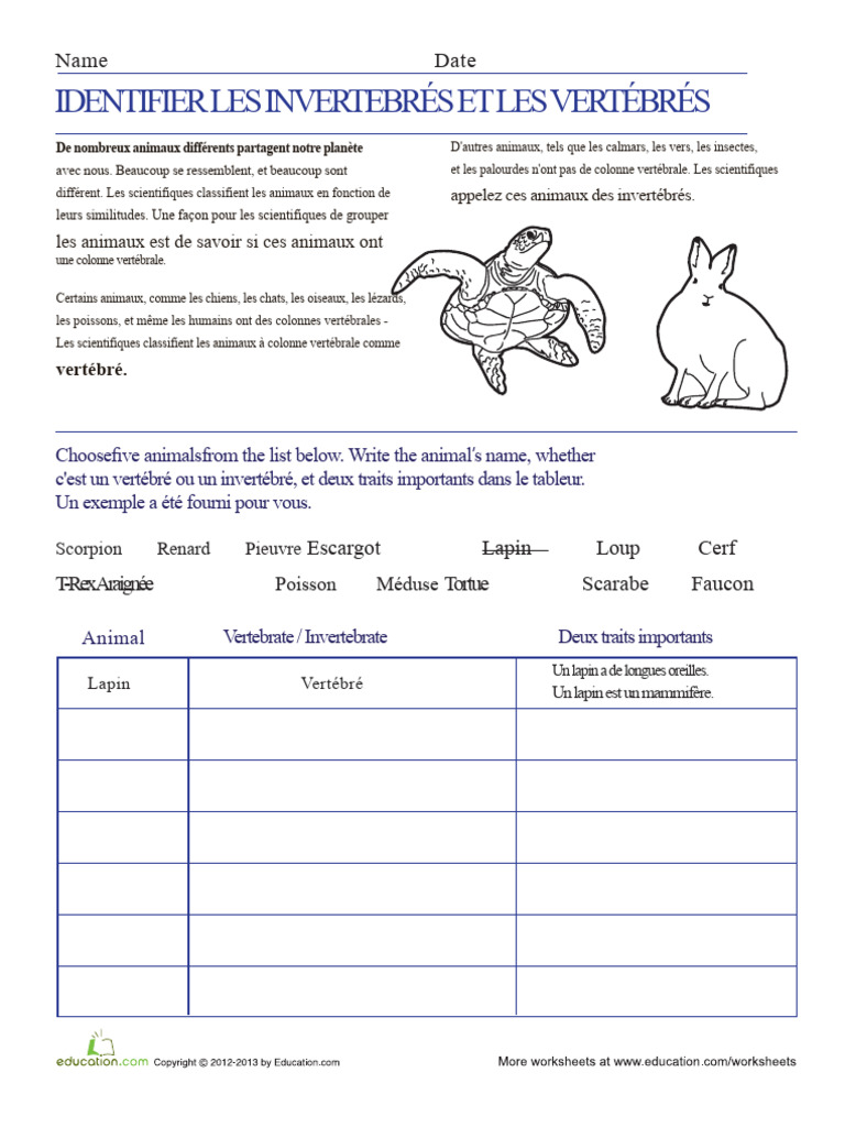 Vertébrés Et Invertébrés | PDF