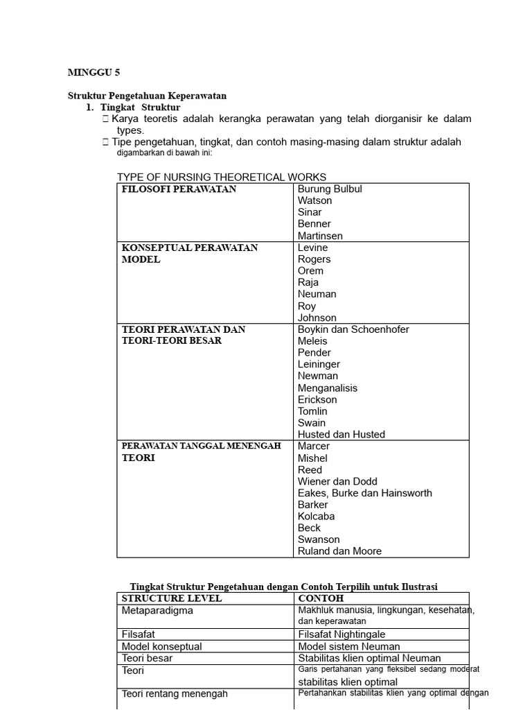 Struktur Pengetahuan Keperawatan, Metaparadigma | PDF