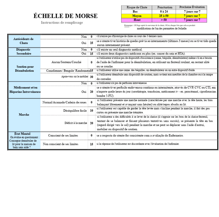 Évaluation du Risque de Chute selon Morse | PDF | Médecine | Maladies ...