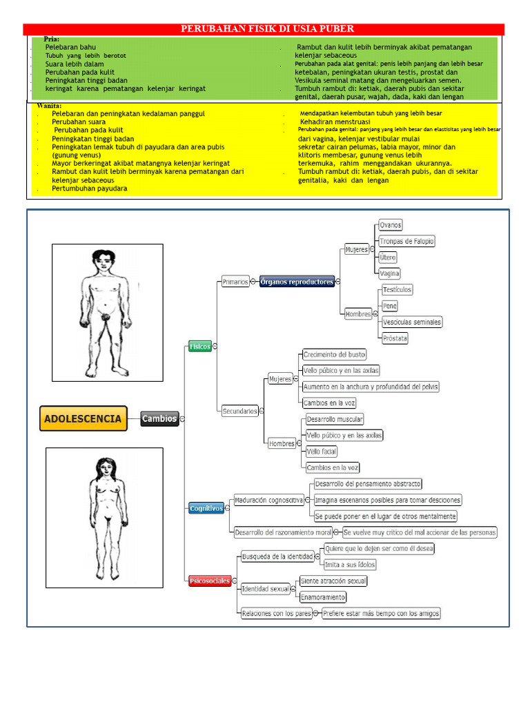 Perubahan Fisik Pada Pubertas | PDF