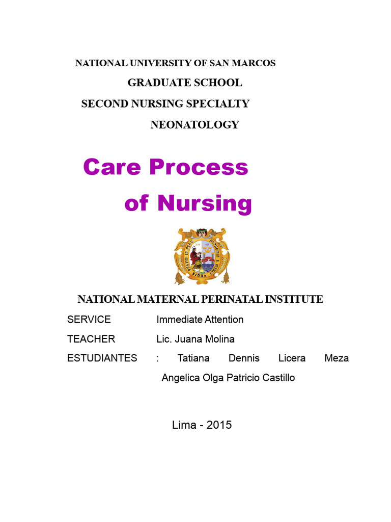 Nursing Care Process - Unmsm | PDF | Breastfeeding | Infants
