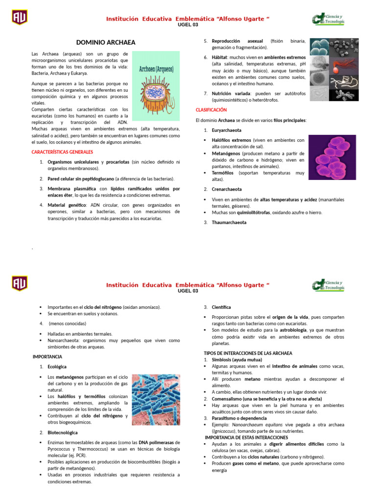 Características y Importancia de las Archaea | PDF | Archaea | Organismos