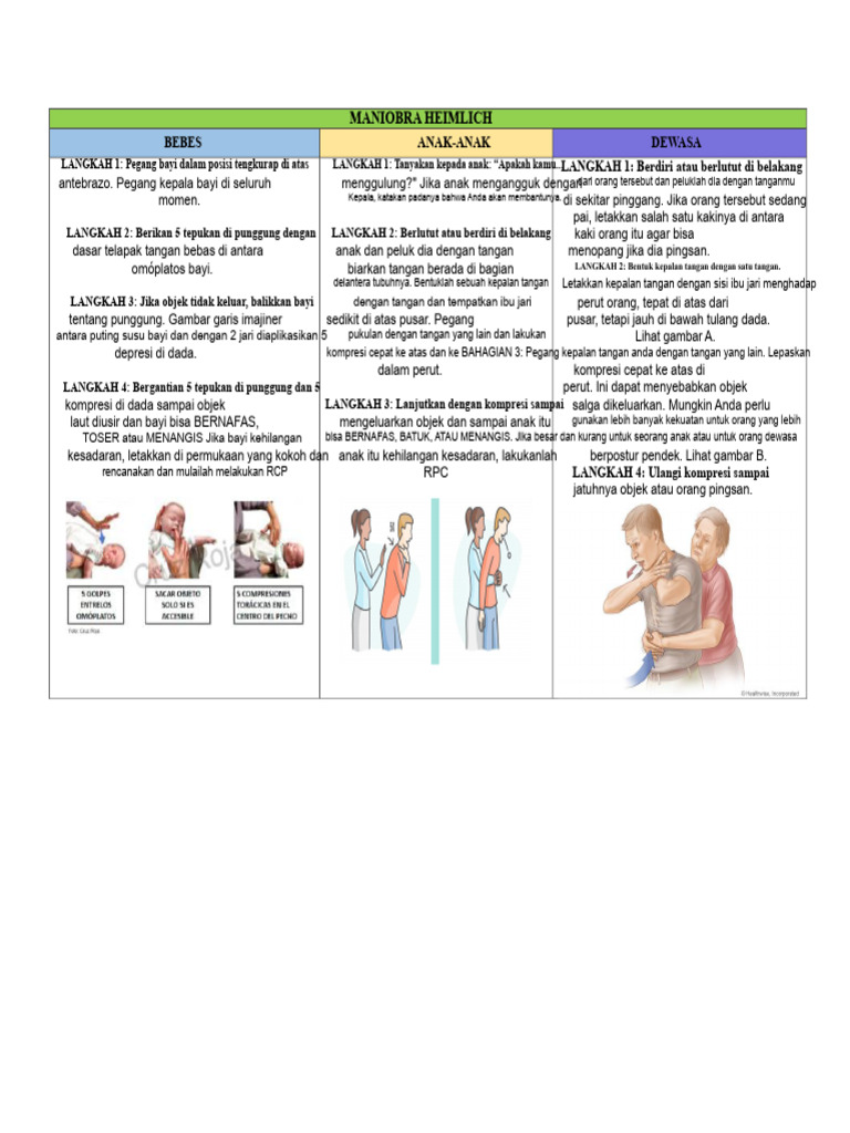 Manuver Heimlich | PDF