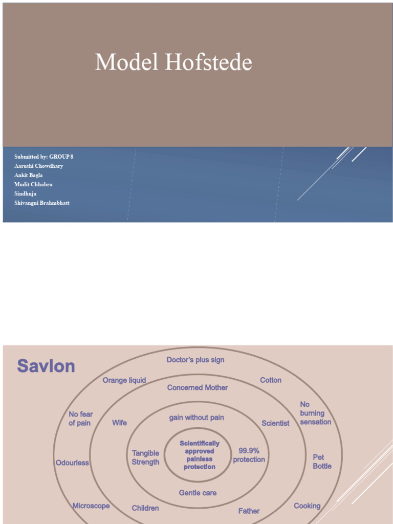 Model Hofstede | PDF