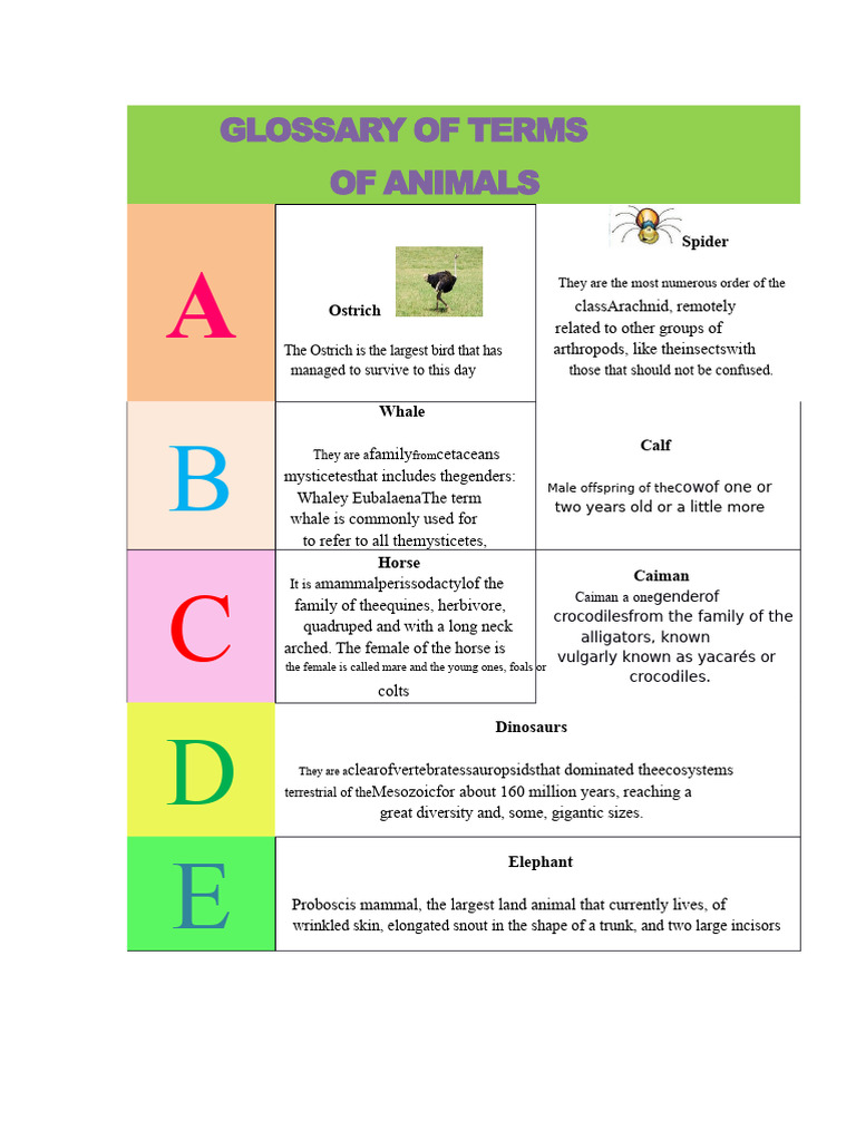 75081803-Animal Glossary | PDF | Mammals | Elephant