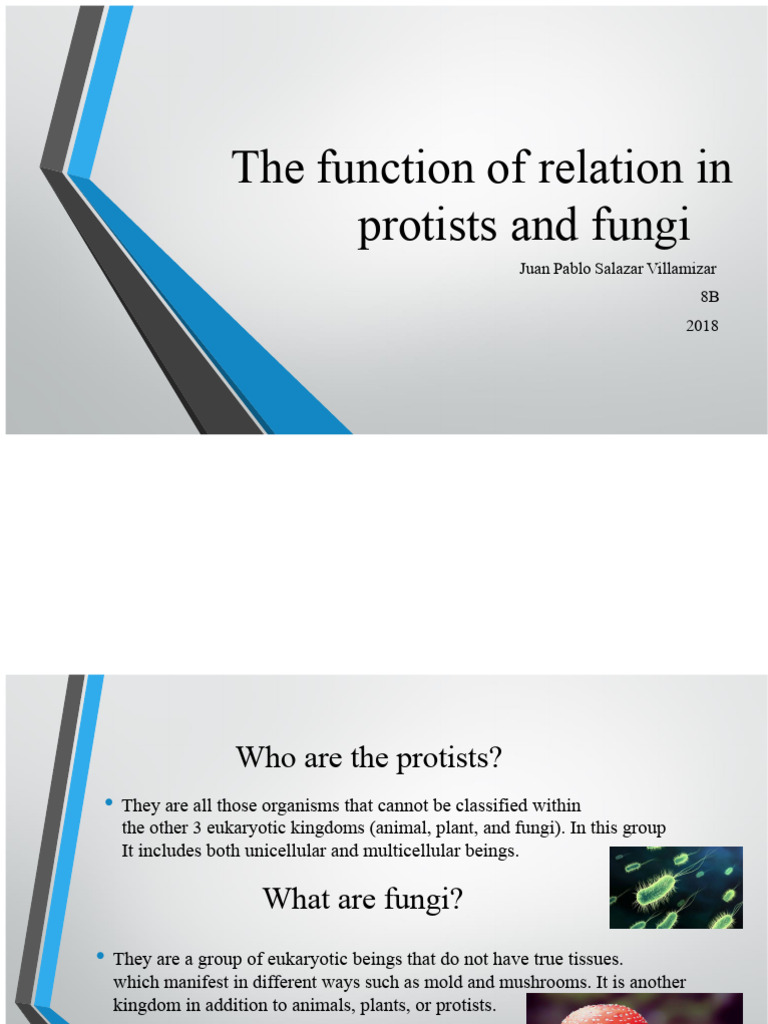 The Relationship Function in Protists and Fungi | PDF