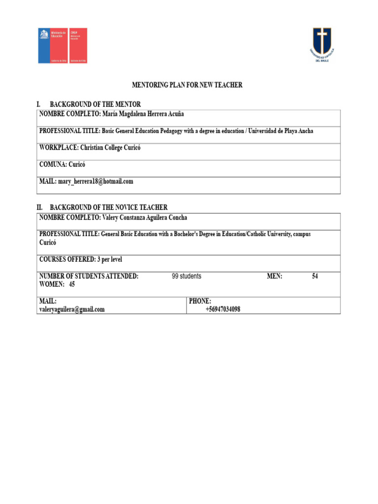 Mentoring Plan Format | PDF | Mentorship | Evaluation