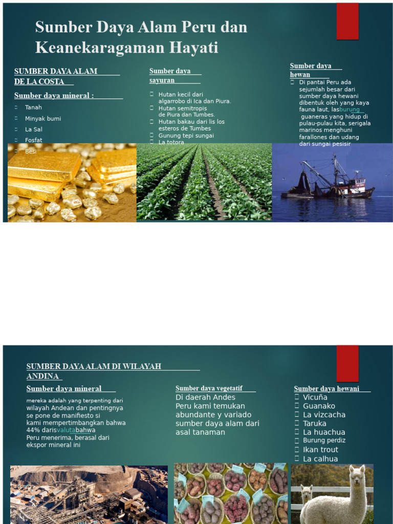 Keanekaragaman Sumber Daya Alam Peru | PDF