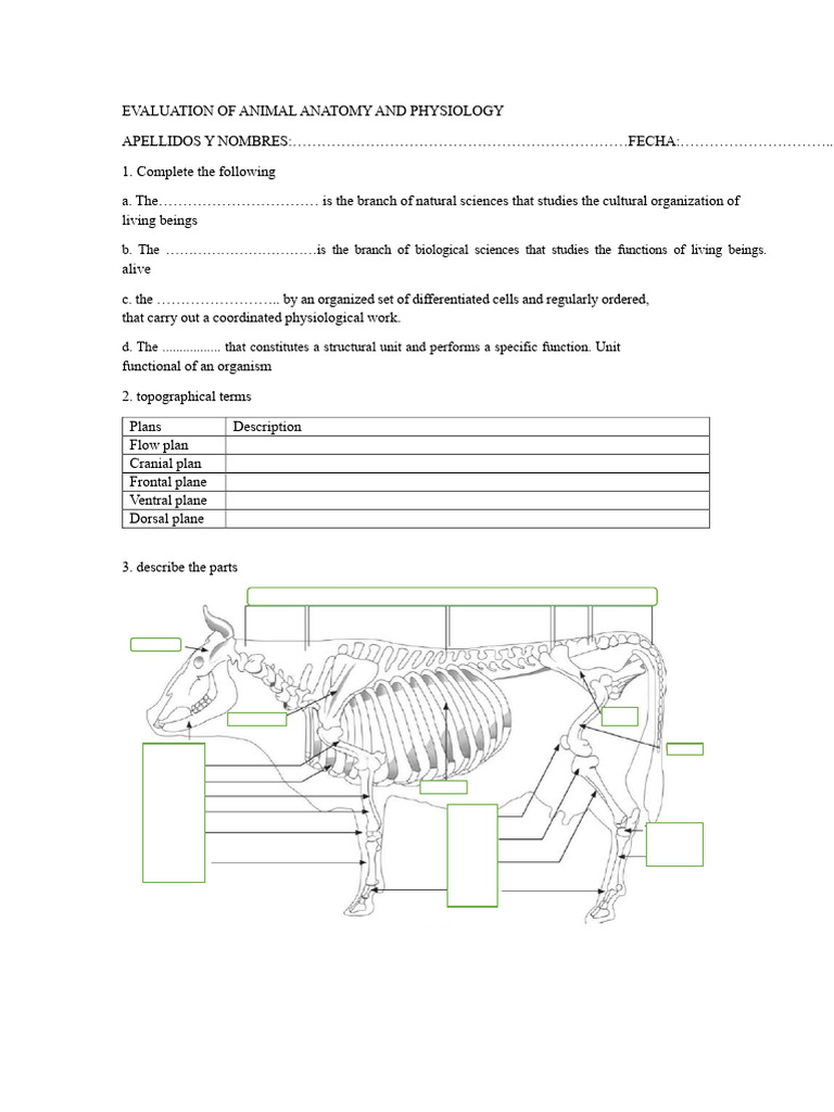 Evaluation of Animal Anatomy and Physiology PDF | PDF