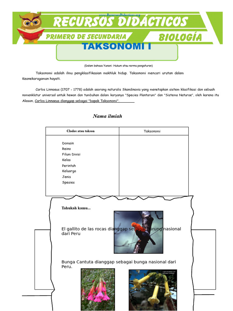 Taksonomi: Klasifikasi Makhluk Hidup | PDF