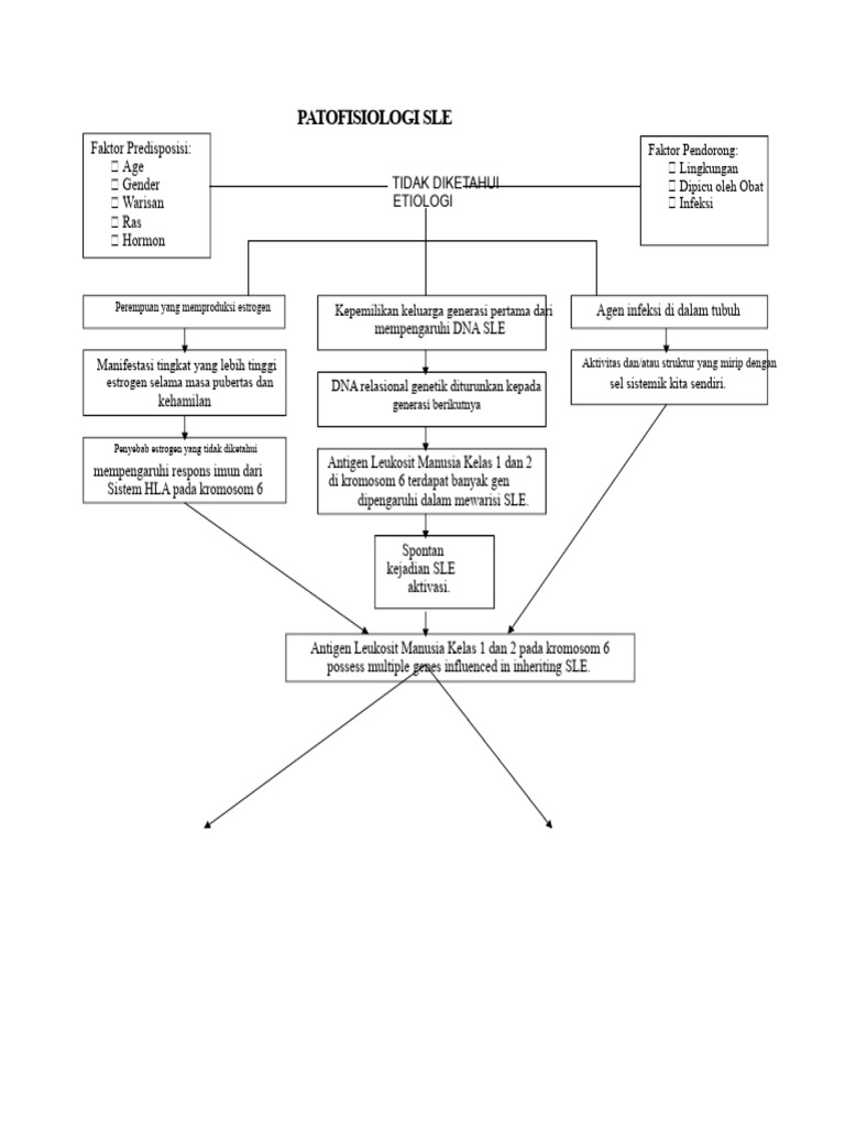 26885504 Patofisiologi Lupus Eritematosa Sistemik | PDF