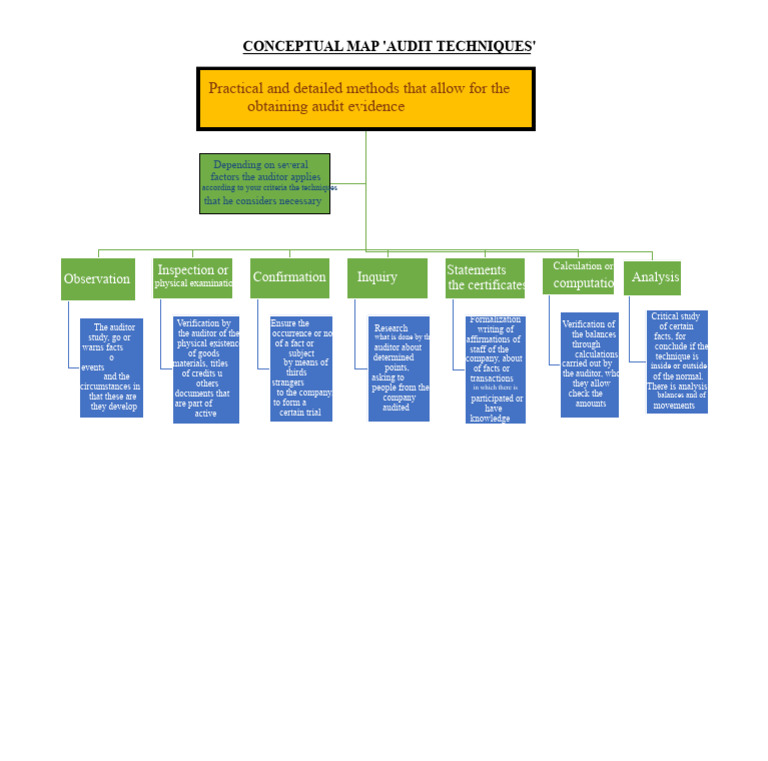 Conceptual Map Audit Techniques Roxana Becerra | PDF | Audit