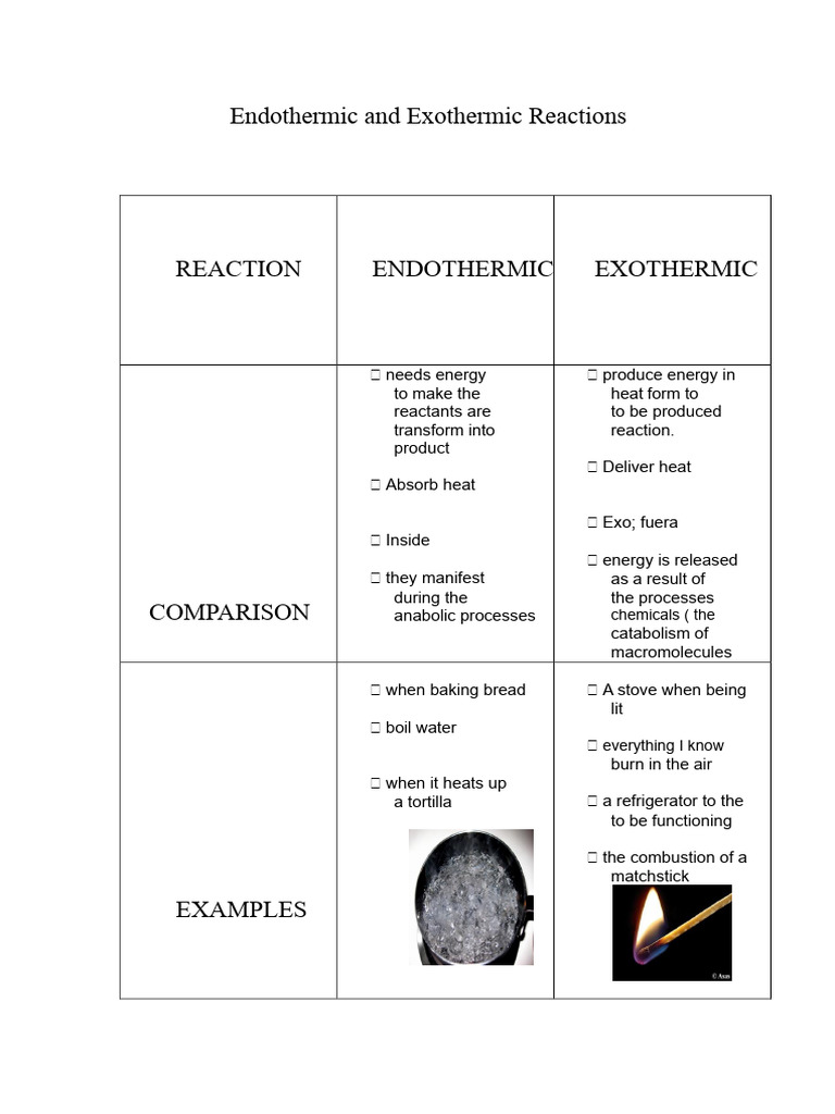 Endothermic and Exothermic Reactions | PDF