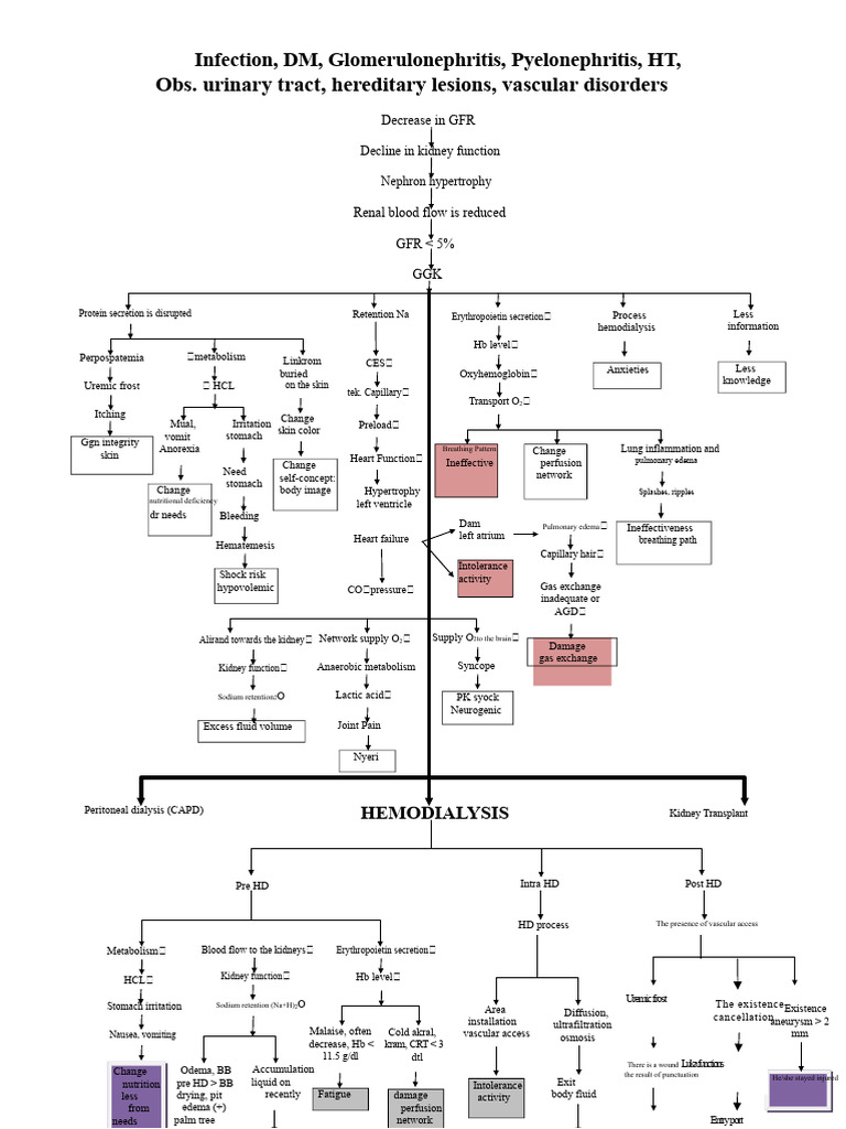 WOC CKD + HD | PDF | Kidney | Medical Specialties