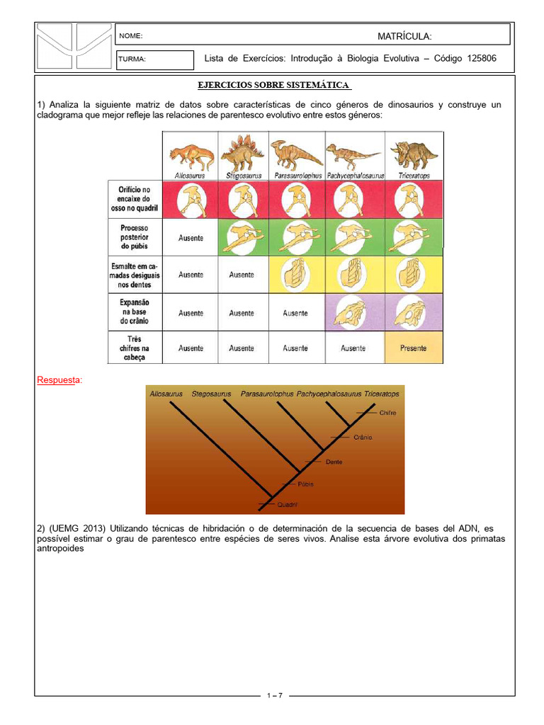 Plantilla Ejercicios sistemática IBE 1_2014 | PDF | Evolución | Mono