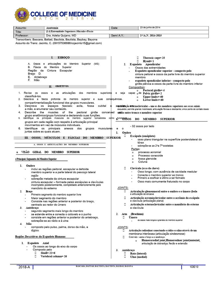 Anatomia do Membro Superior: Músculos e Fáscia | PDF | Cotovelo ...