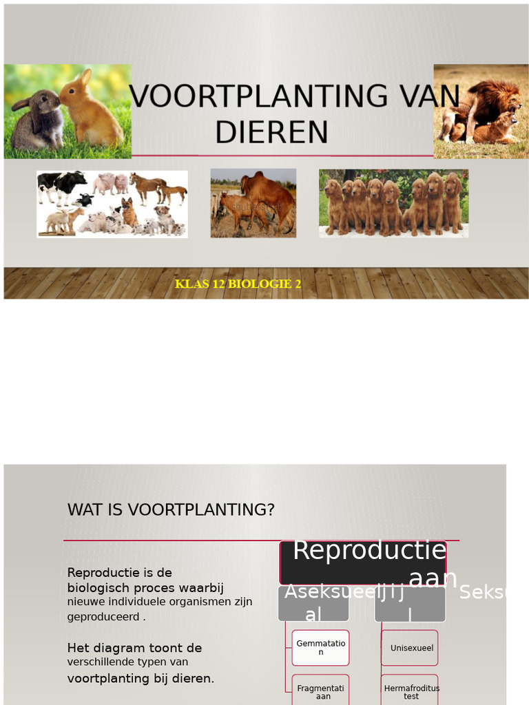 Voortplanting Van Dieren | PDF