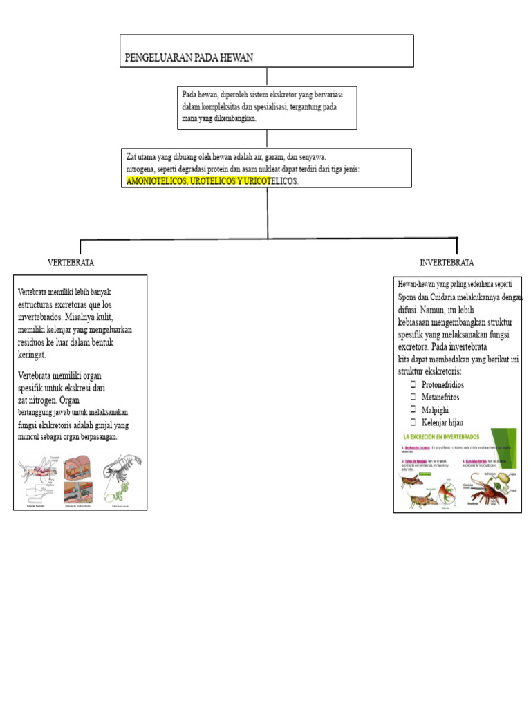 biologi444 | PDF