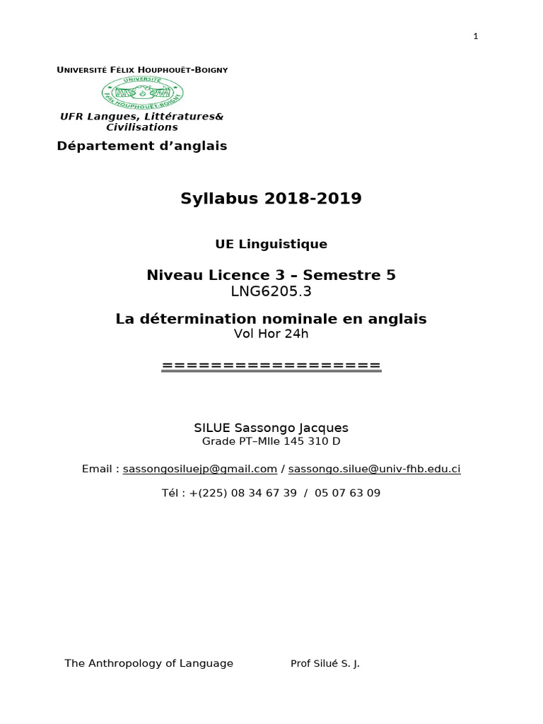 978 Syllabus La Determination Nominale La l3 | PDF | Linguistics | Noun