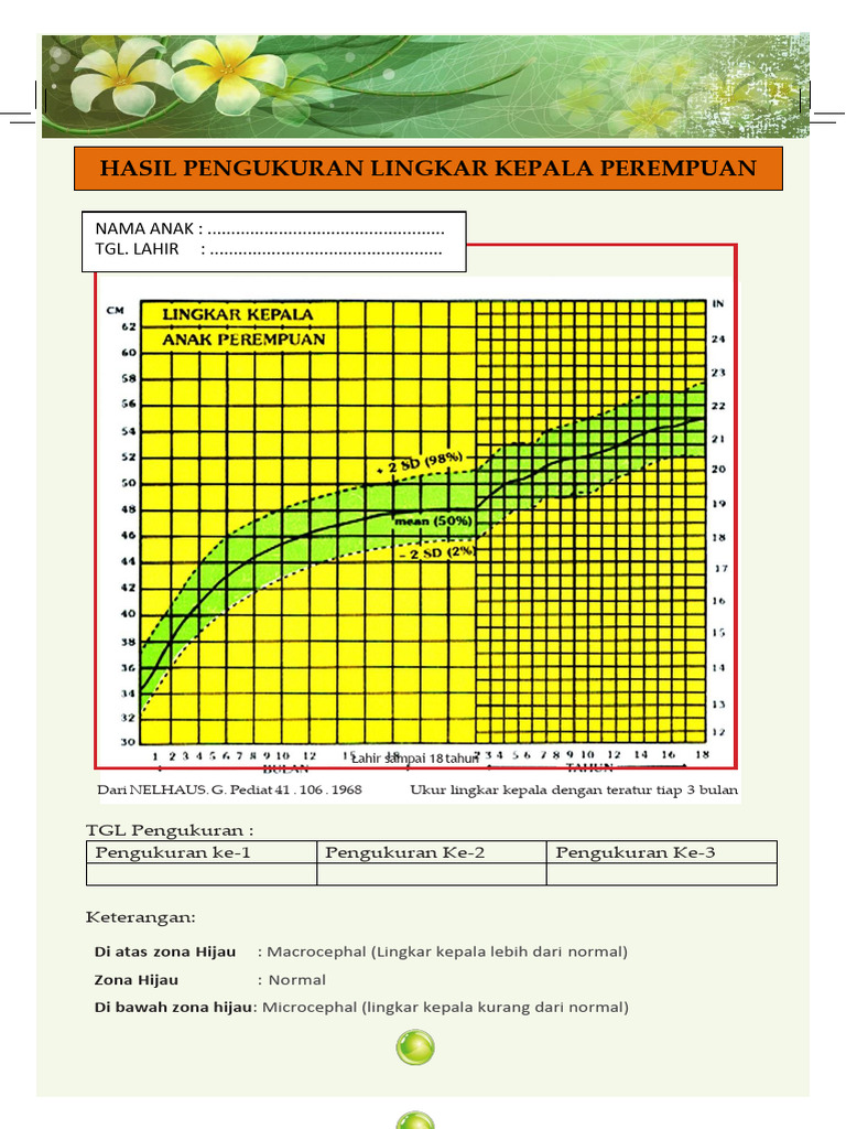 Format Grafik Lingkar Kepala | PDF