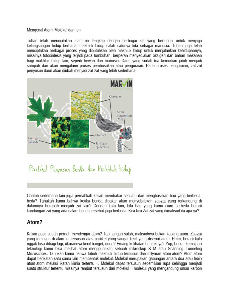 Atom, Ion, Dan Molekul | PDF