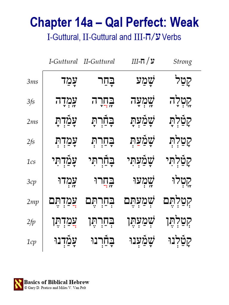 BasicsBiblicalHebrew-14 Qal Perfect - Weak | PDF | Linguistic Morphology | Language Families