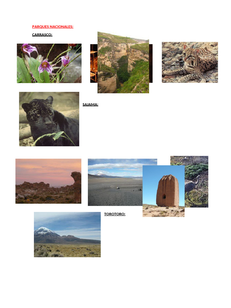 Parques Nacionales y Reservas en Bolivia | PDF