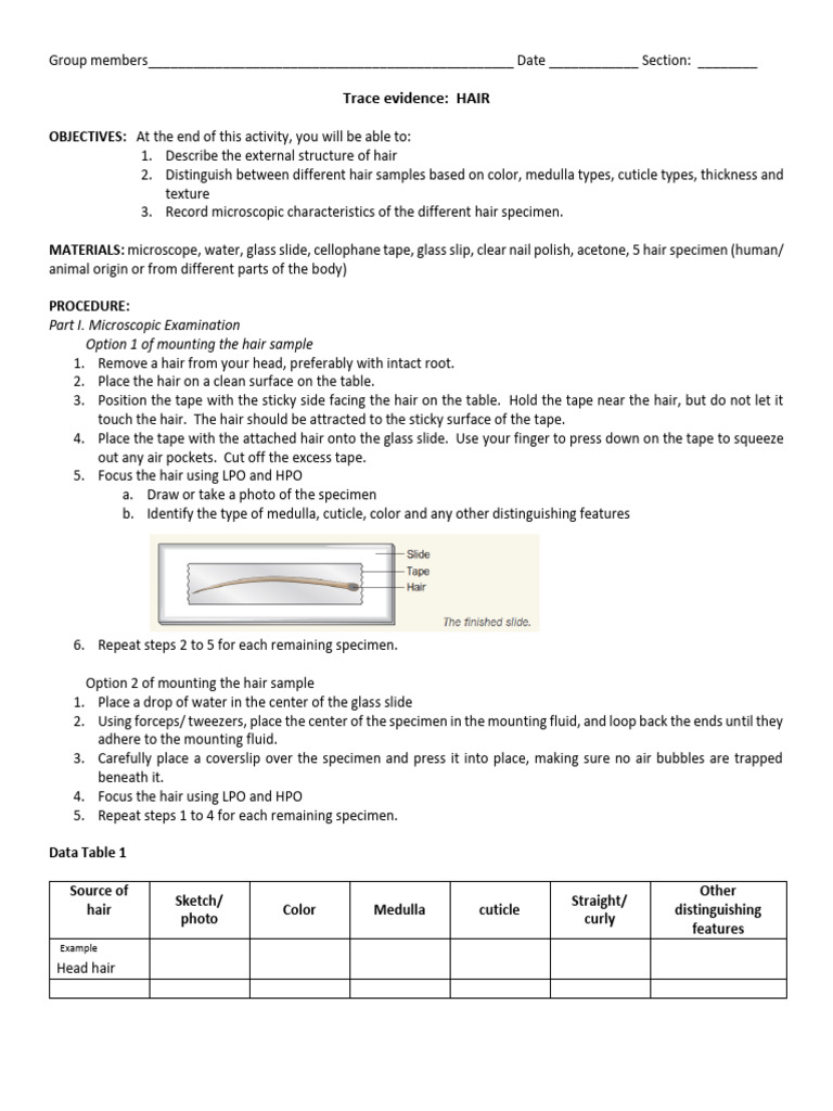 Forensic Hair Analysis Lab Guide | PDF | Hair