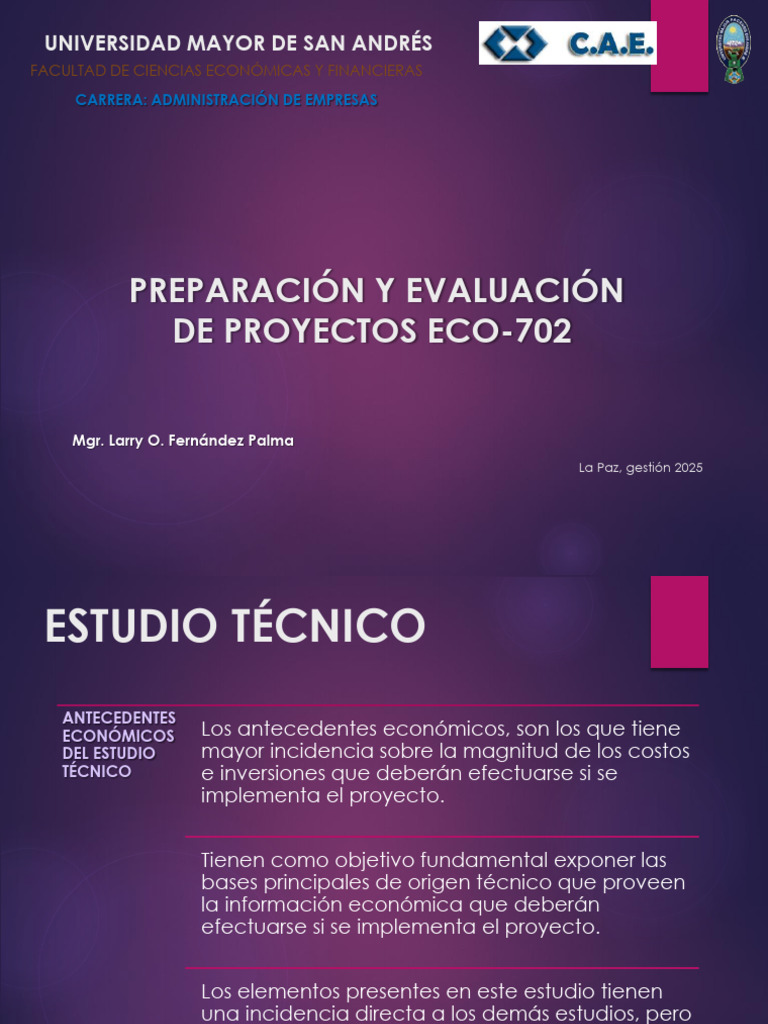 Estudio Técnico de Proyectos Empresariales | PDF | Mercado (economía ...