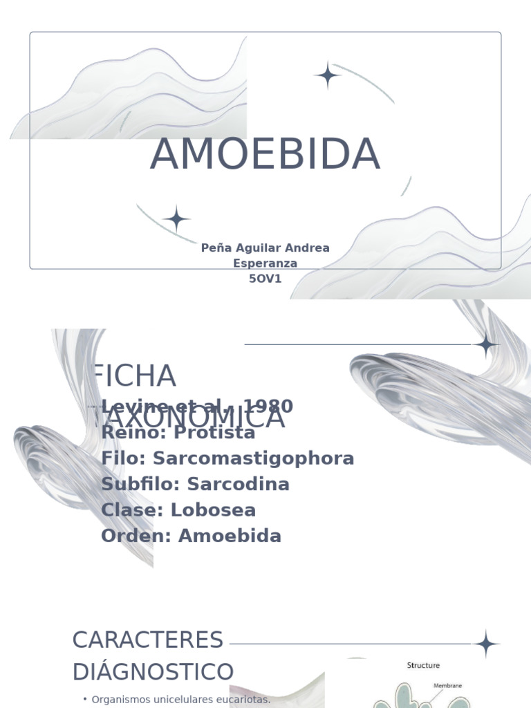 Amoebida 20250917 142721 0000 | PDF