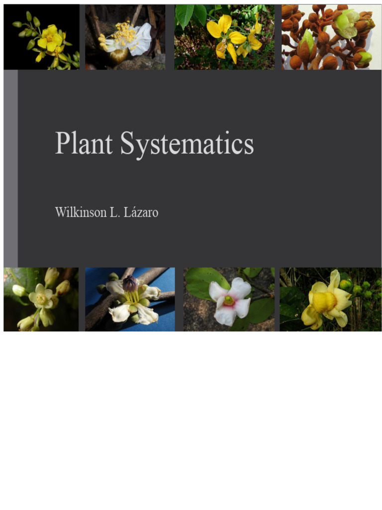 Plant Systematics | PDF | Fruit | Taxonomy (Biology)