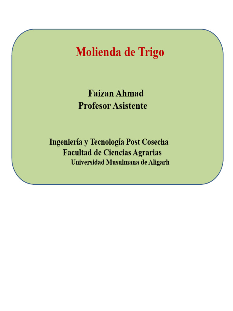 Proceso de Molienda de Trigo Moderno | PDF | Trigo | Harina