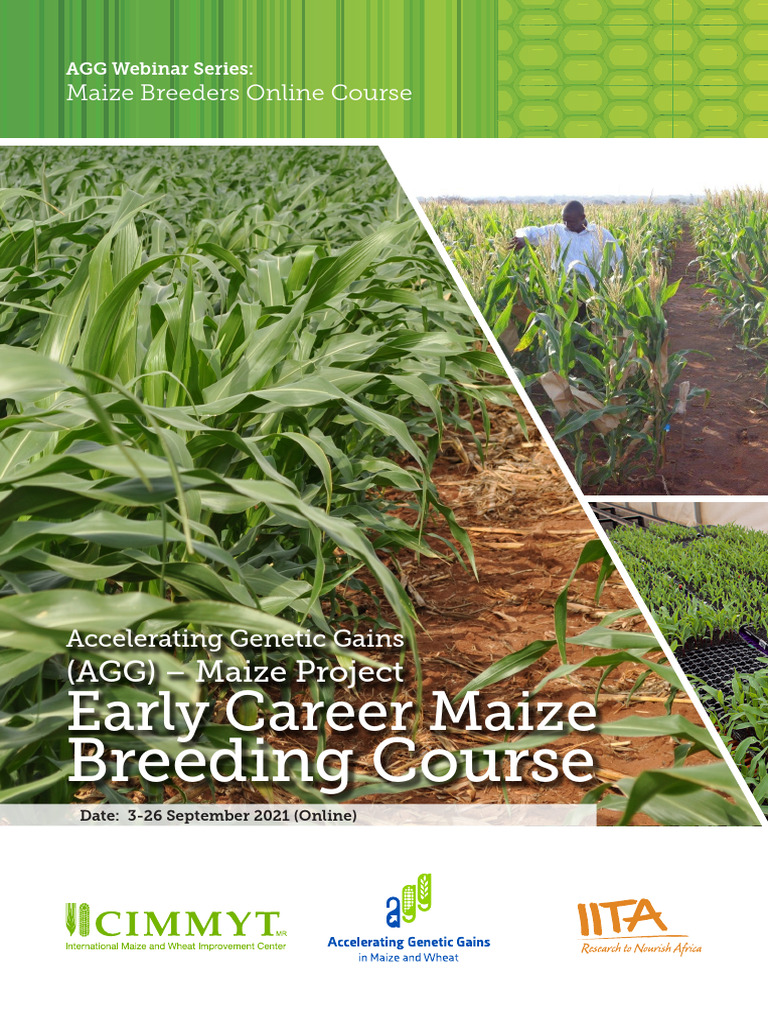 AGG Early Career Maize Breeder Course | PDF | Plant Breeding | Genetics