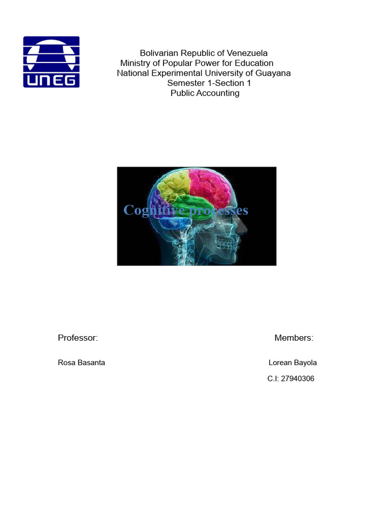 Cognitive Processes Report | PDF | Cognition | Executive Functions