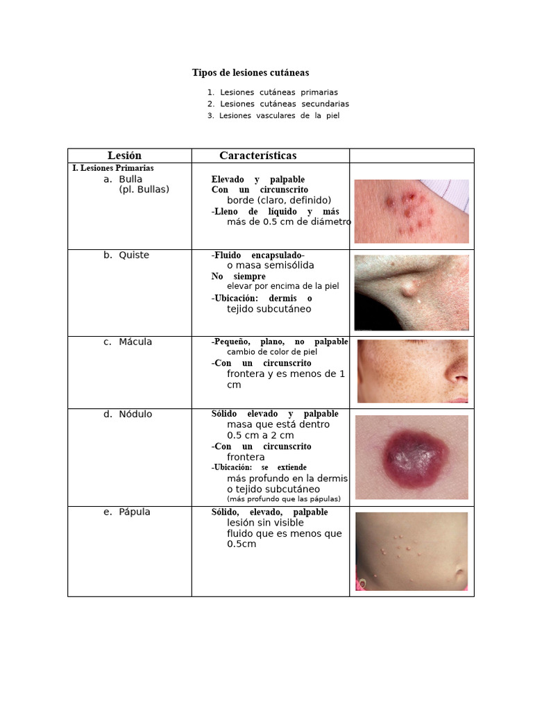 Tipos de Lesiones Cutáneas | PDF | Piel | Cicatriz