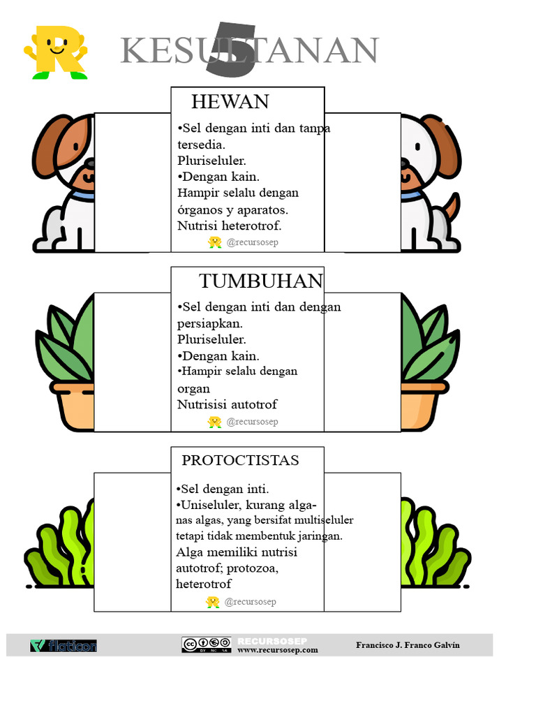 Lipatan Seres Hidup Kerajaan Sumber Warna | PDF
