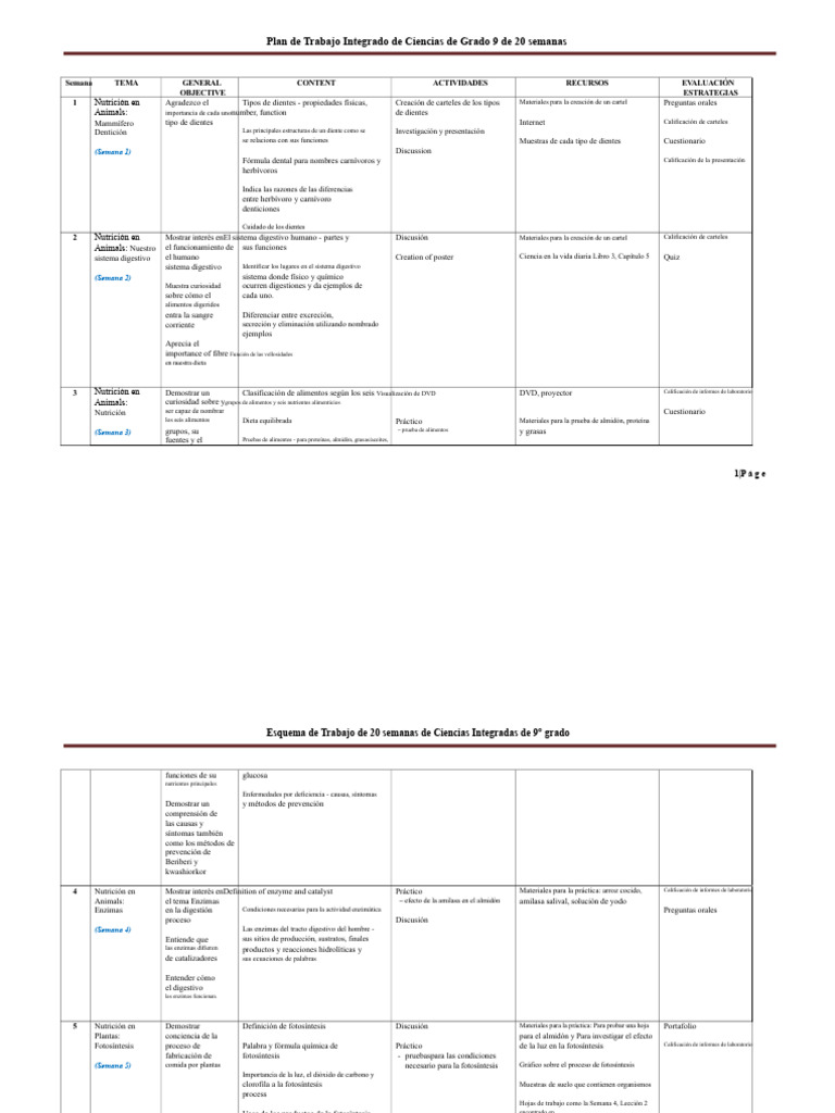 Grado 9 - Currículo Consolidado de Ciencias Integradas | PDF | Imán ...