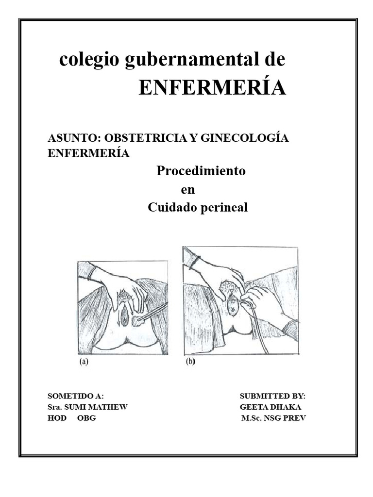 Procedimiento de Cuidados Perineales | PDF | Parto | Especialidades Medicas