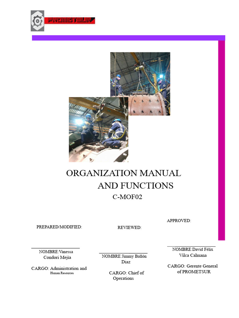 Mof - Manual of Organization and Functions - Prometsur S.R.L | PDF