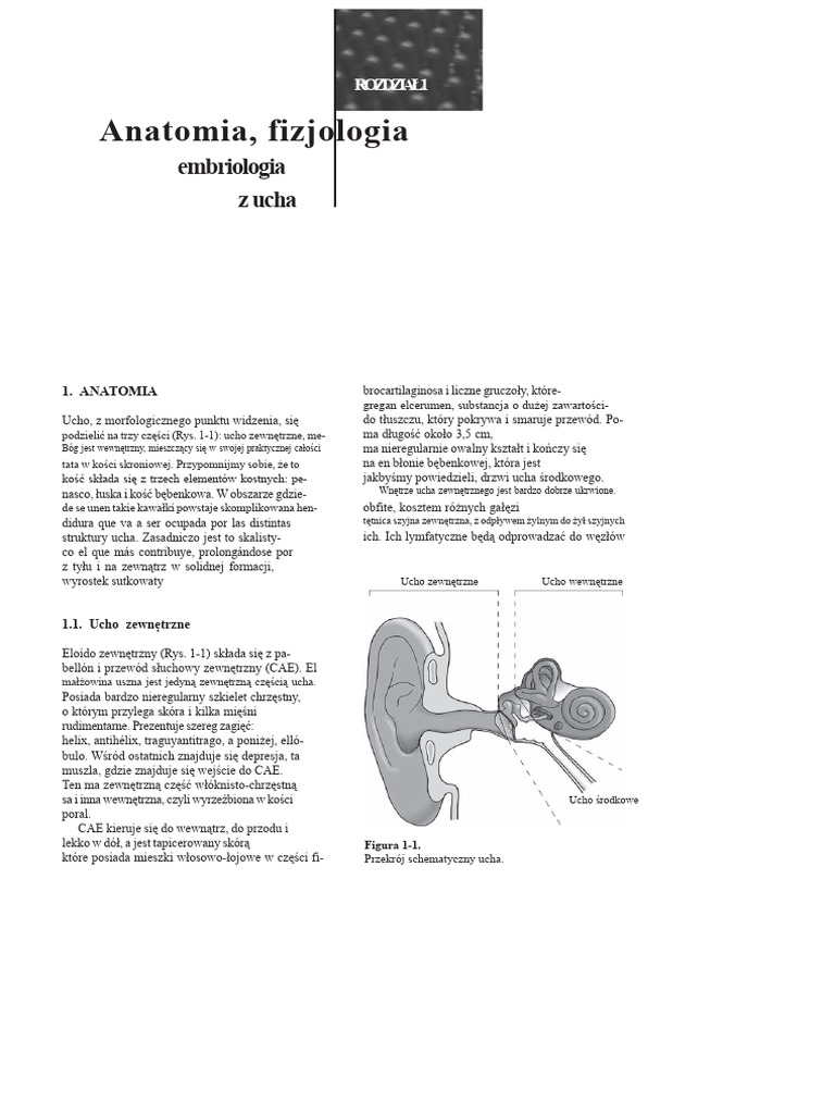 Anatomia I Fizjologia Ucha - PODRĘCZNIK Laryngologii 2. Wydanie ...