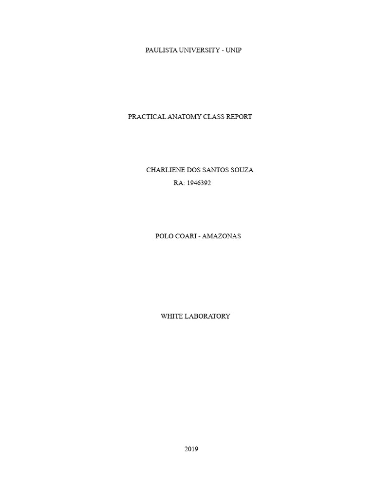 Anatomy Report | PDF | Human Leg | Arm