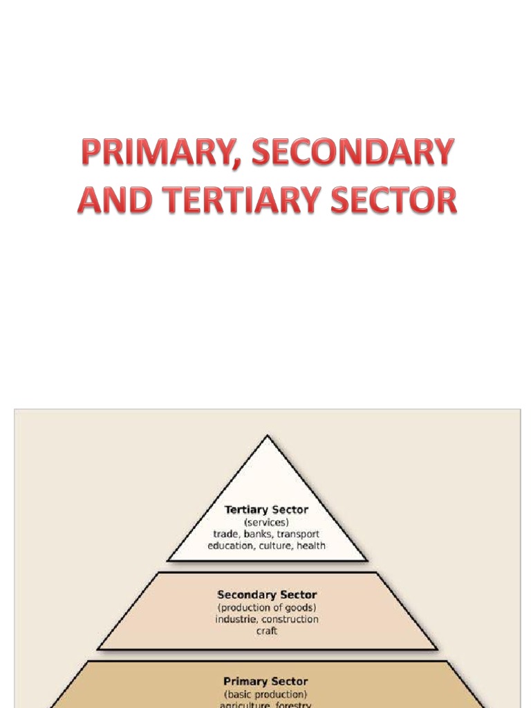 Primary, Secondary and Tertiary Sector | PDF | Foreign Language Studies ...
