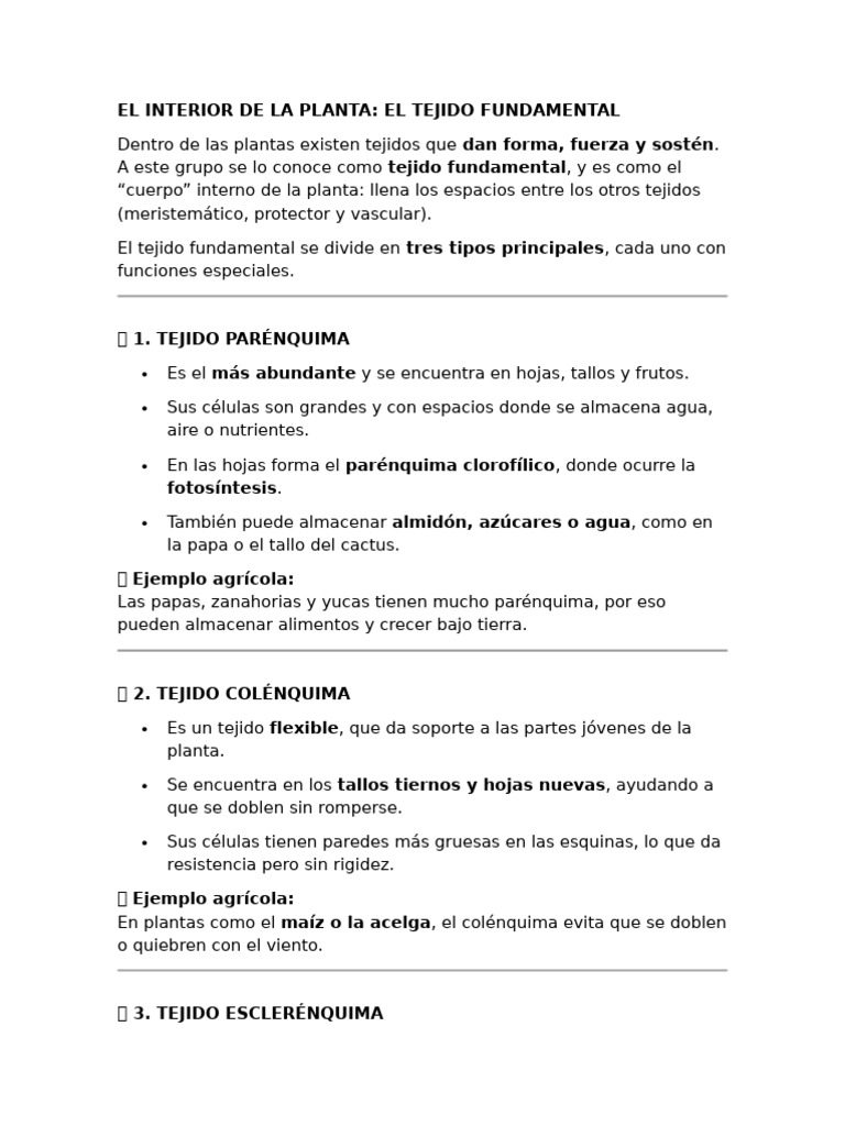 Lecturas Complementarias Noveno Vegetales | PDF