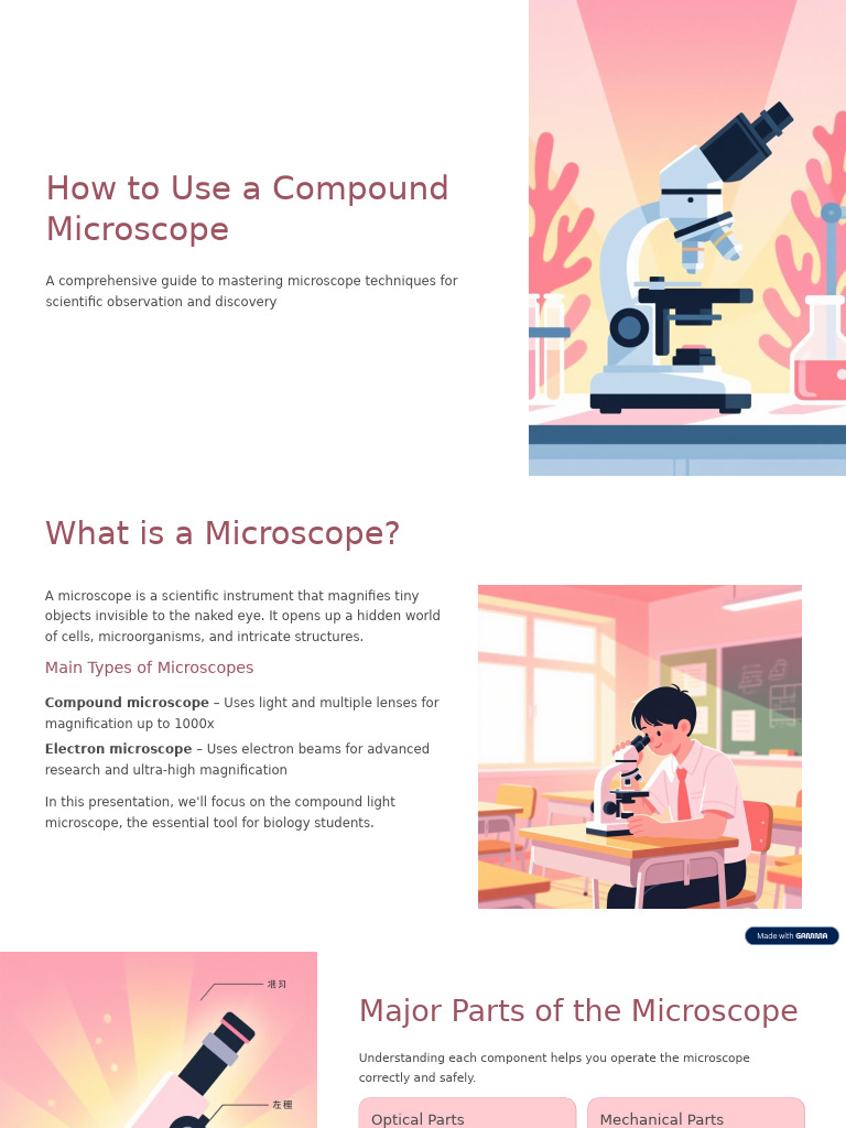 How To Use A Compound Microscope | PDF | Microscope | Laboratory Equipment