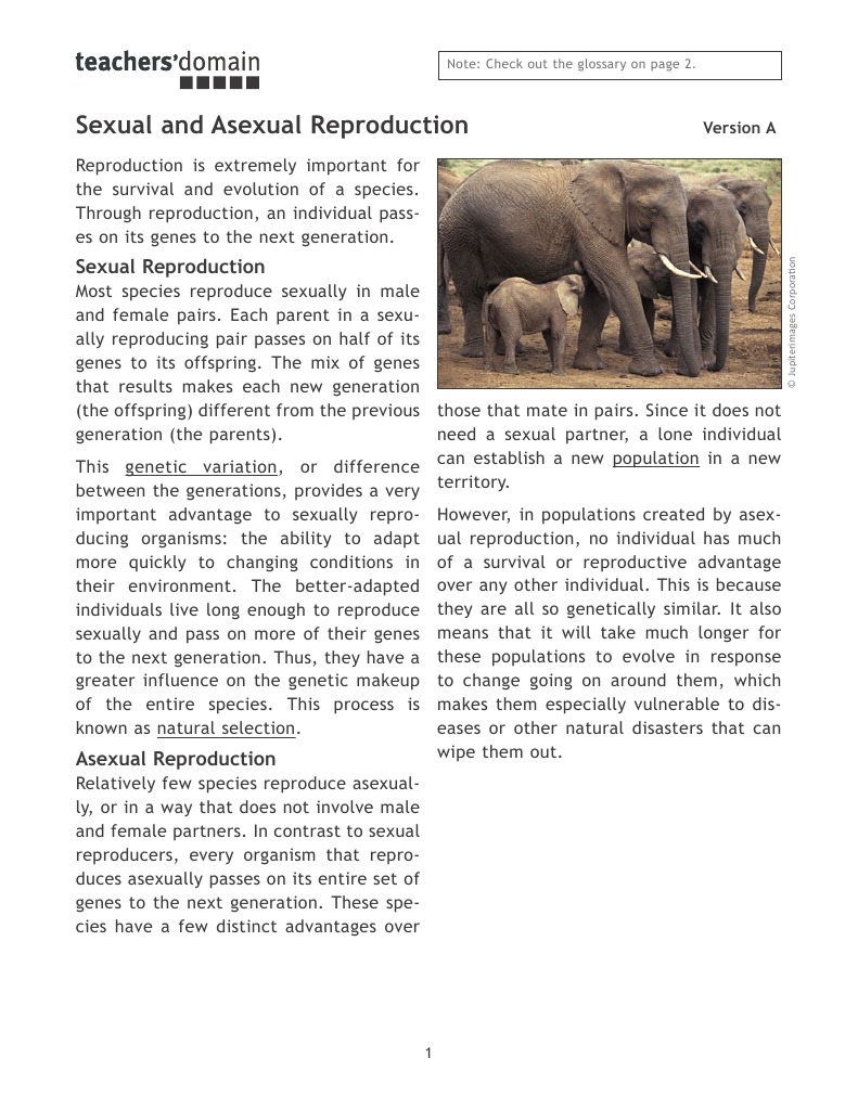 Asexual Sexual+Reading | PDF | Reproduction | Sexual Reproduction