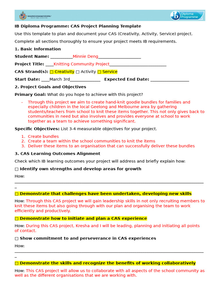 CAS Project Planning Template: Knitting | PDF | Knitting