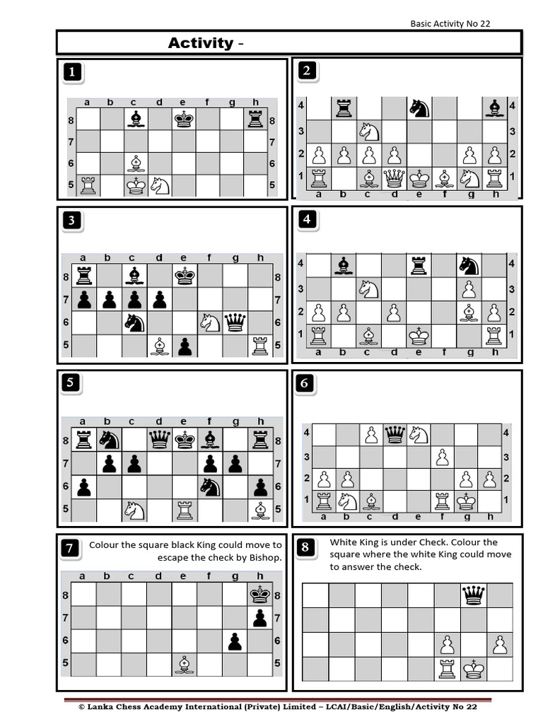 22nd Basic Activity Check & Checkmatet English LCAI New | PDF