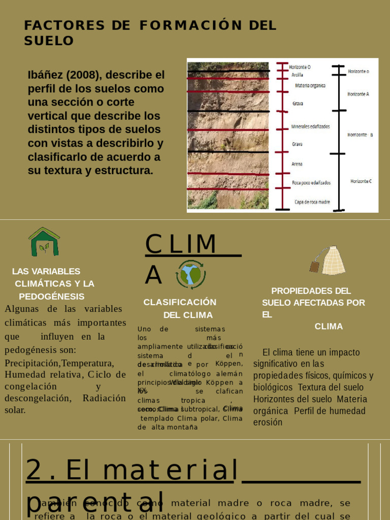 Formación Del Suelo | PDF | Roca (geología) | Clima